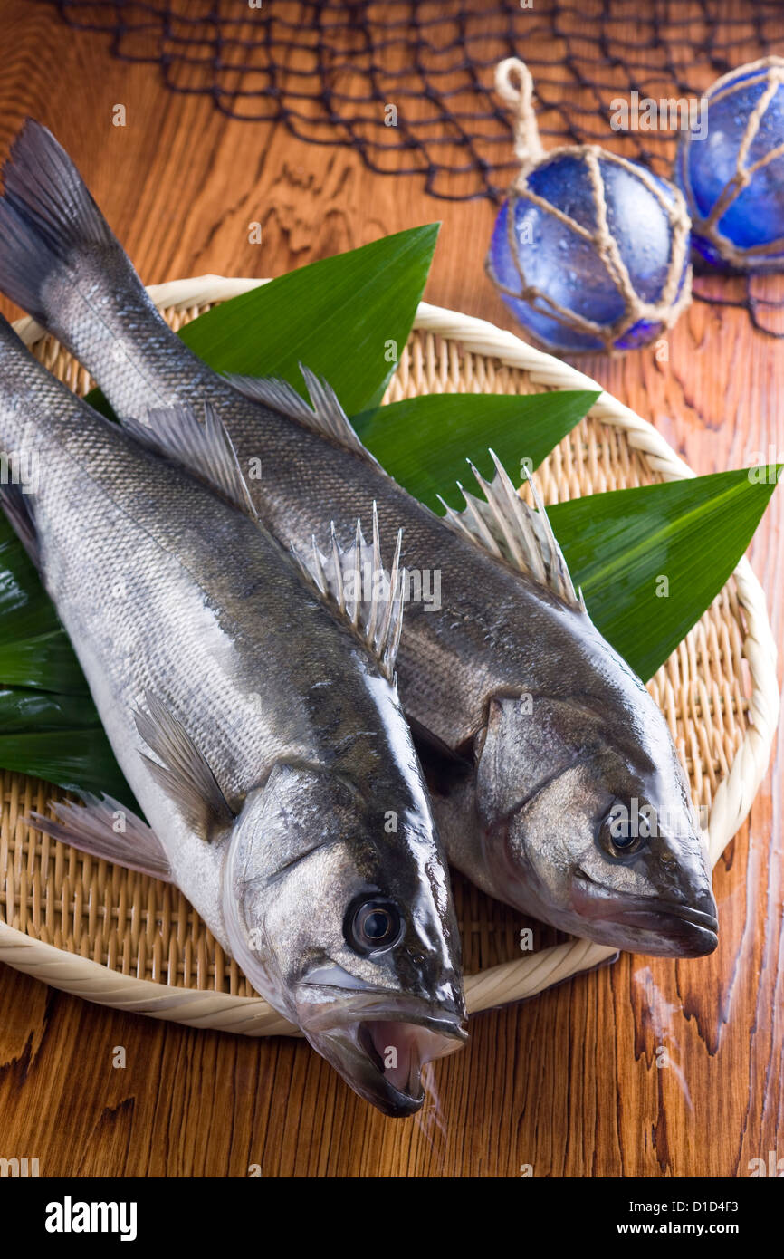 Japanese seabass hi-res stock photography and images - Alamy