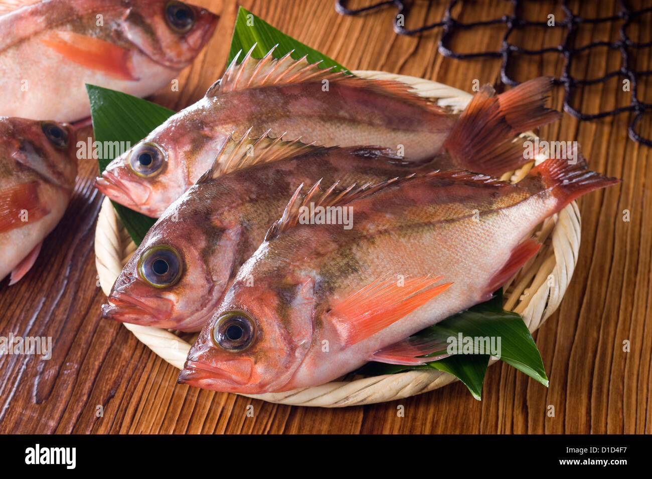 Mebaru fish hi-res stock photography and images - Alamy