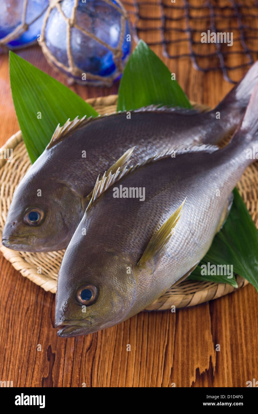 Japanese chicken grunt hi-res stock photography and images - Alamy