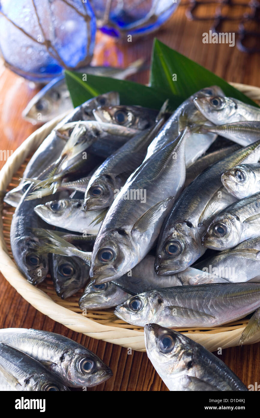 Japanese Horse Mackerel Stock Photo - Alamy