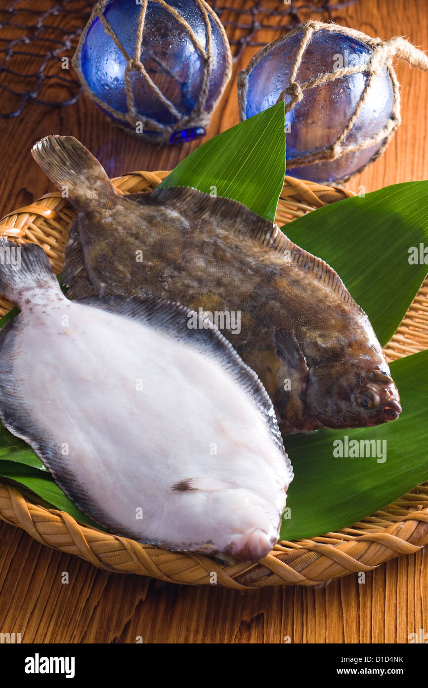 Slime fish hi-res stock photography and images - Alamy