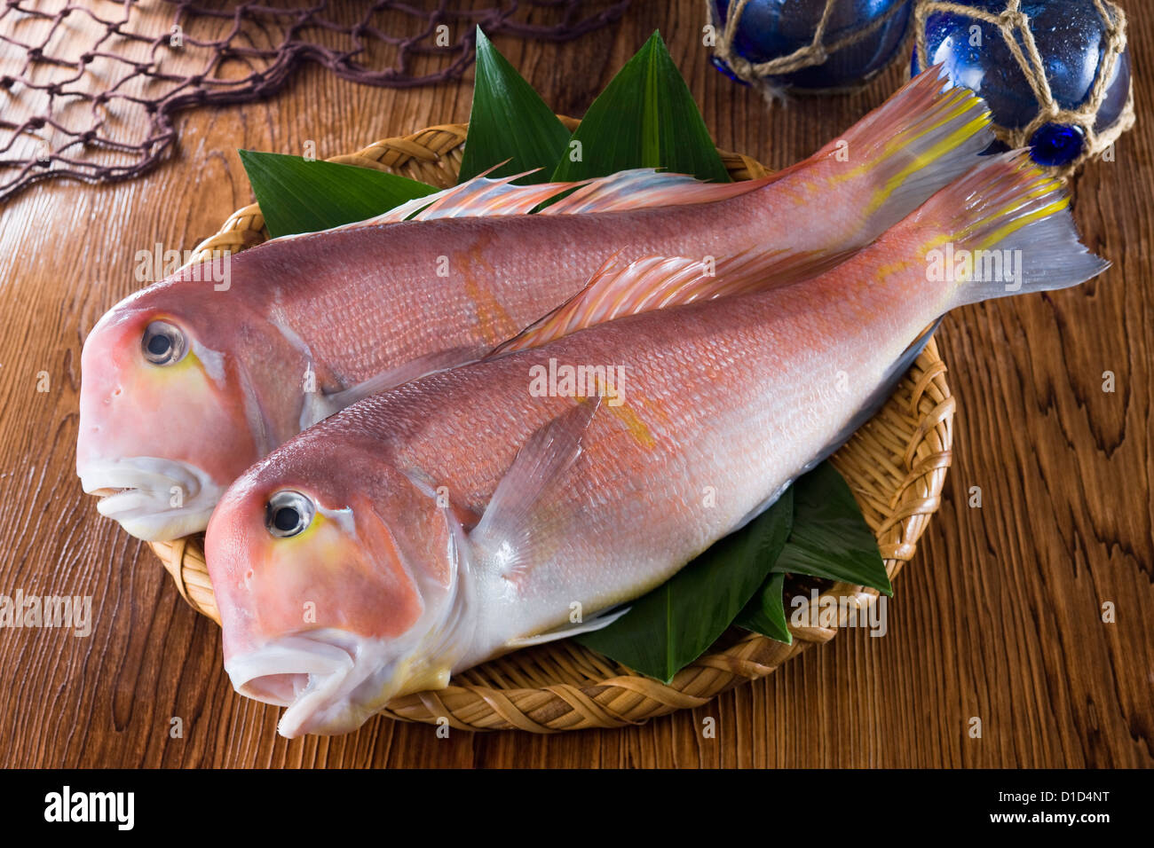 Tilefish hi-res stock photography and images - Alamy