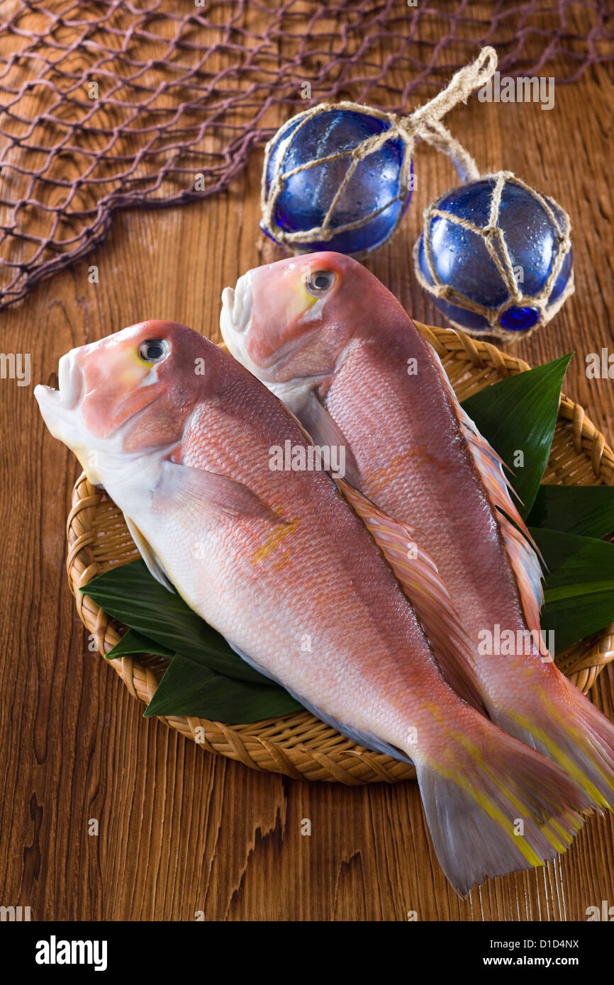 Tilefish hi-res stock photography and images - Alamy