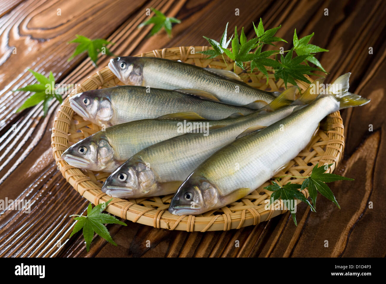 Ayu sweetfish hi-res stock photography and images - Alamy