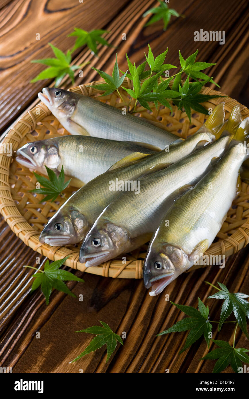 Sweetfish hi-res stock photography and images - Alamy