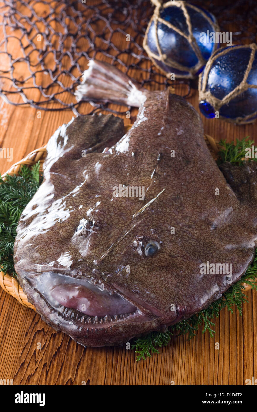Whole monkfish hi-res stock photography and images - Alamy