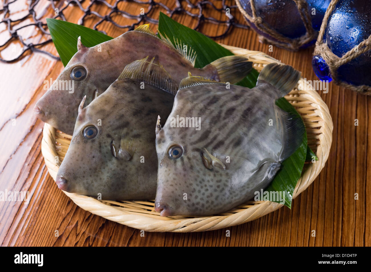 Kawahagi hi-res stock photography and images - Alamy