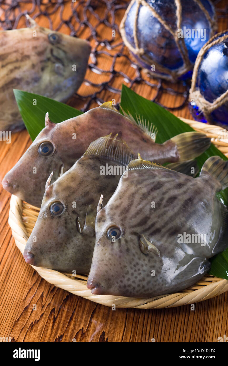 Kawahagi hi-res stock photography and images - Alamy