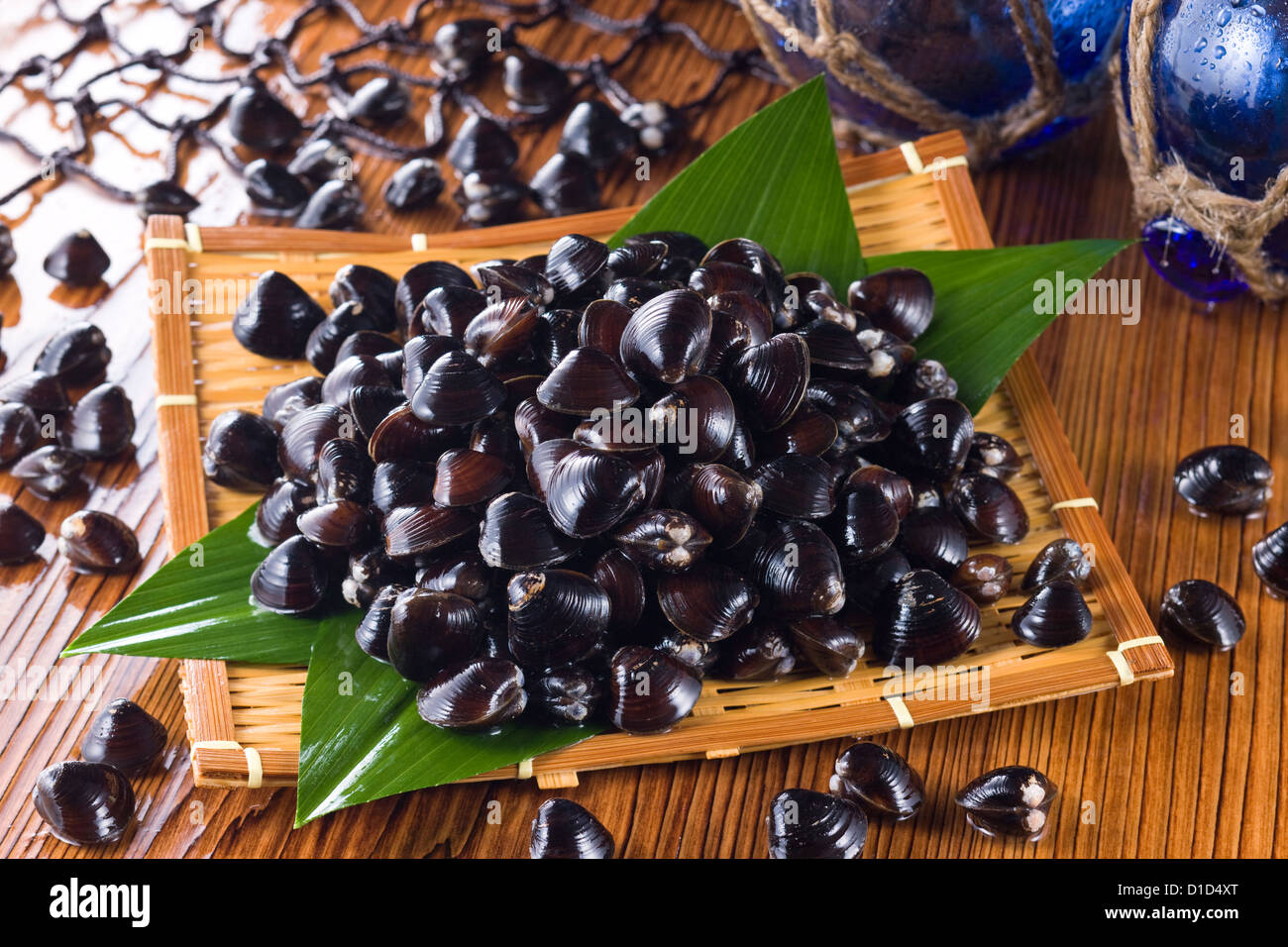 Clam leaf hi-res stock photography and images - Alamy