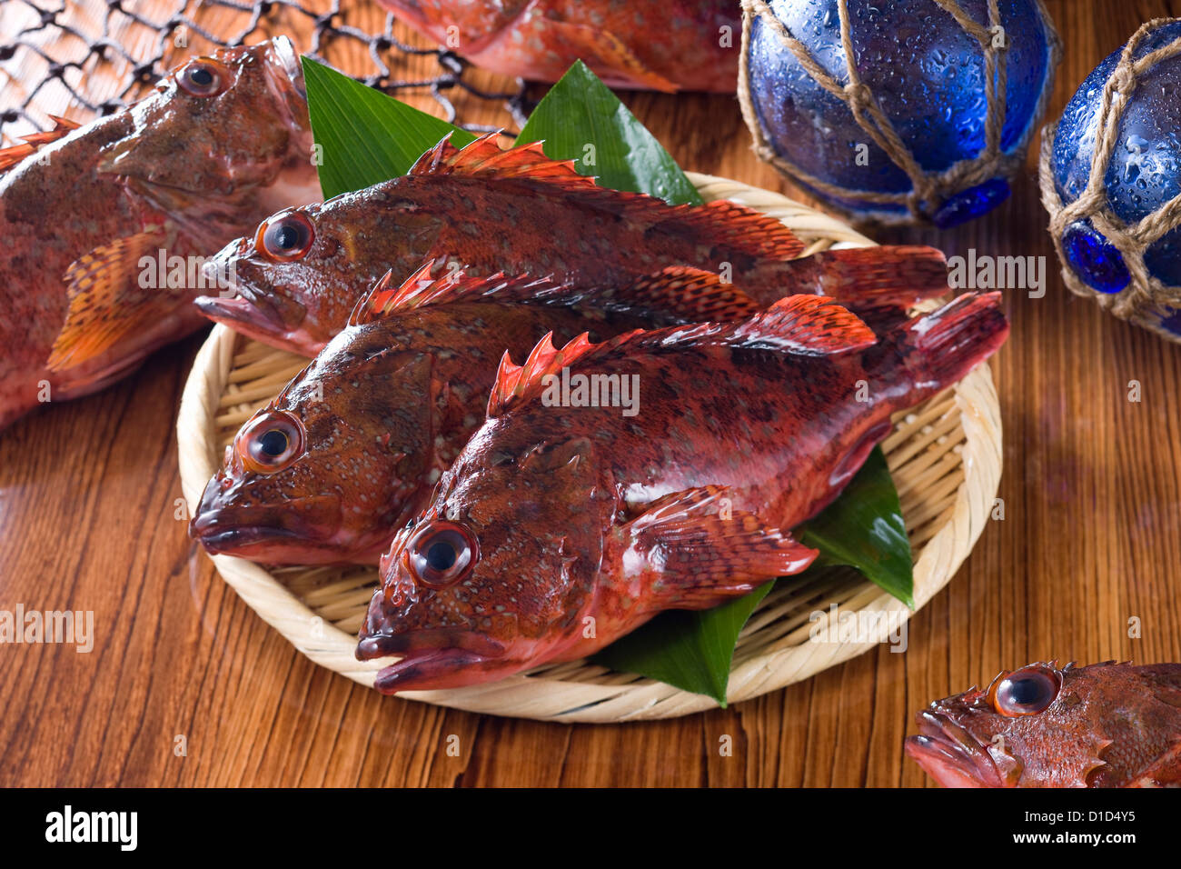 Kasago fish hi-res stock photography and images - Alamy