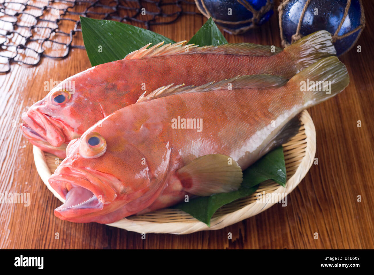 Shimofurihata hi-res stock photography and images - Alamy