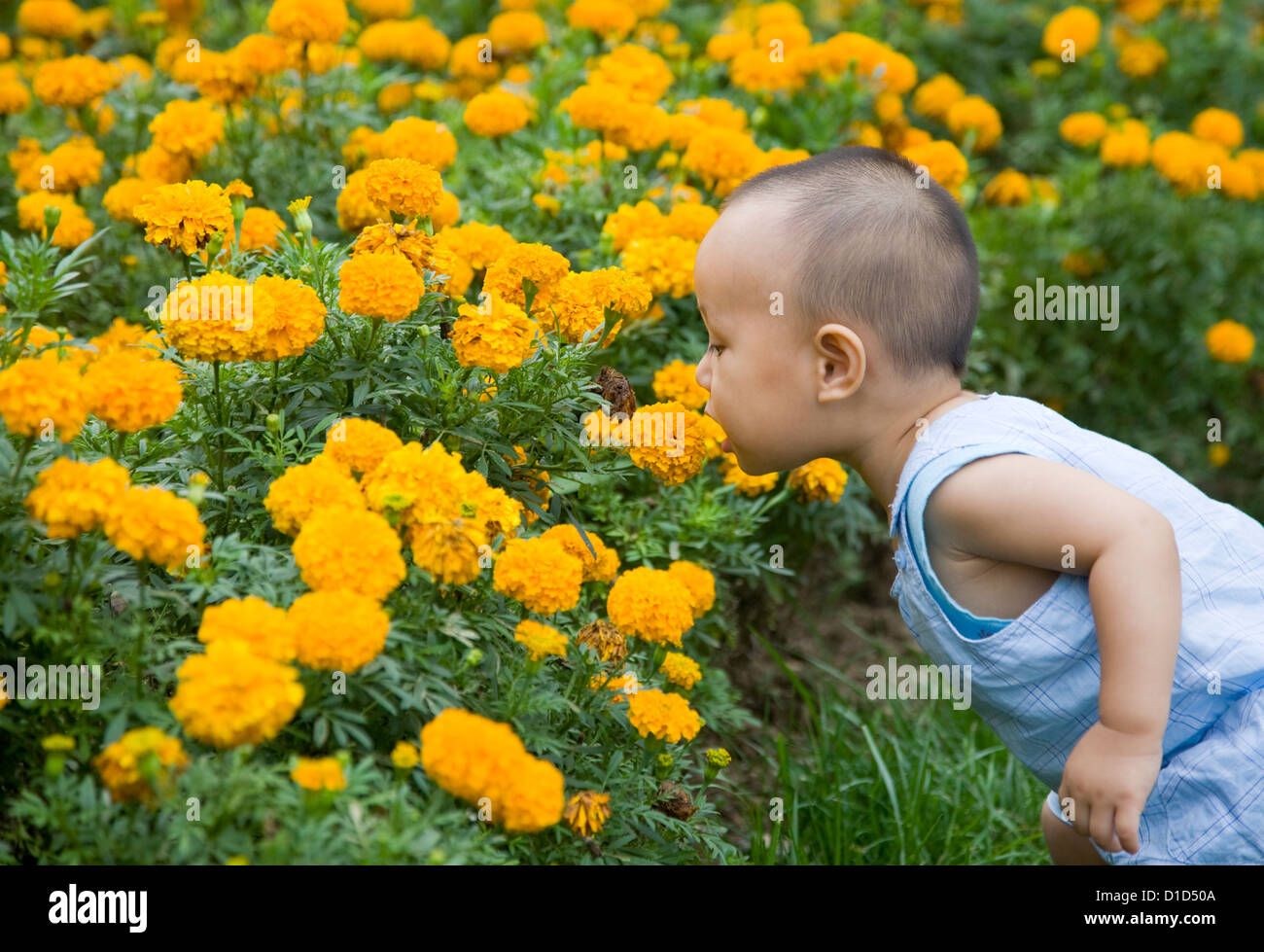 Boy smelling flowers outdoors hi-res stock photography and images - Alamy