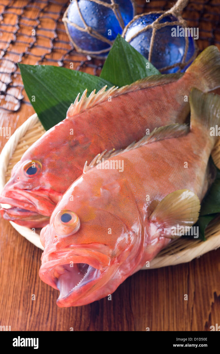 White dotted hi-res stock photography and images - Alamy