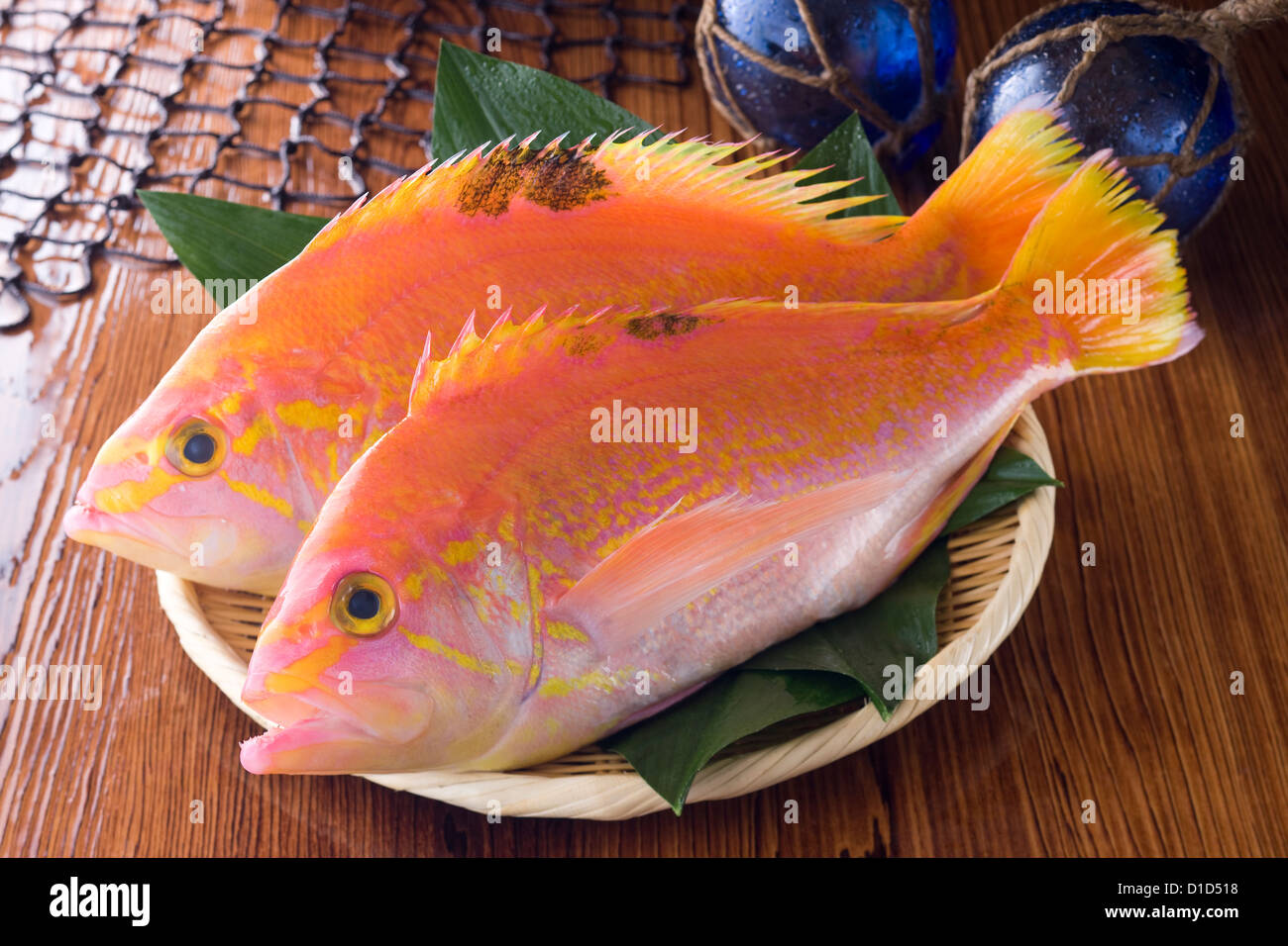 Red bass hi-res stock photography and images - Alamy