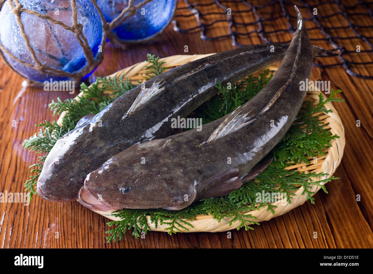 Flathead fish board hi-res stock photography and images - Alamy
