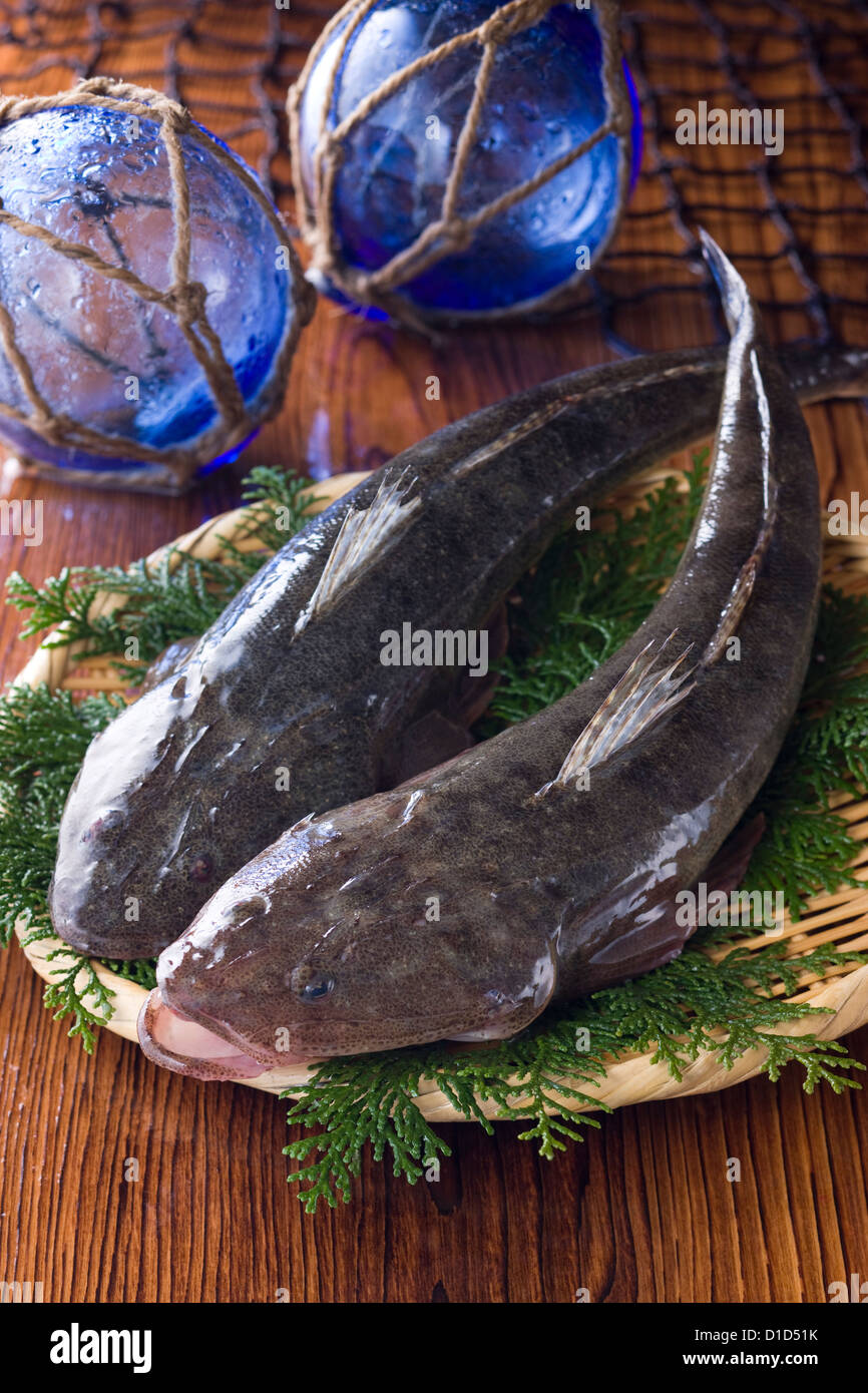 Flathead fish board hi-res stock photography and images - Alamy