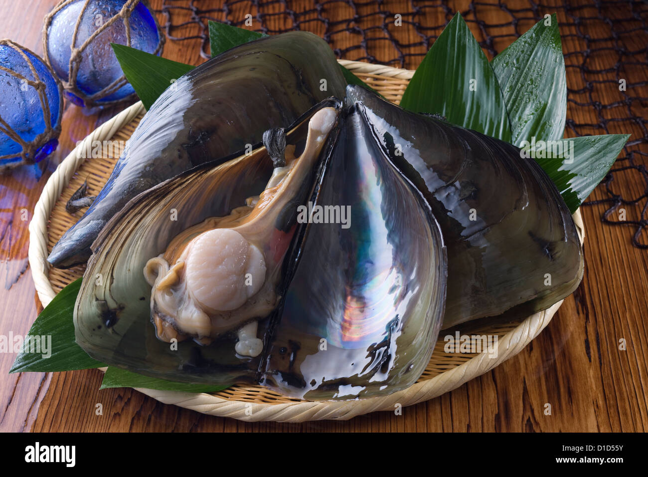 Pen shell hi-res stock photography and images - Alamy