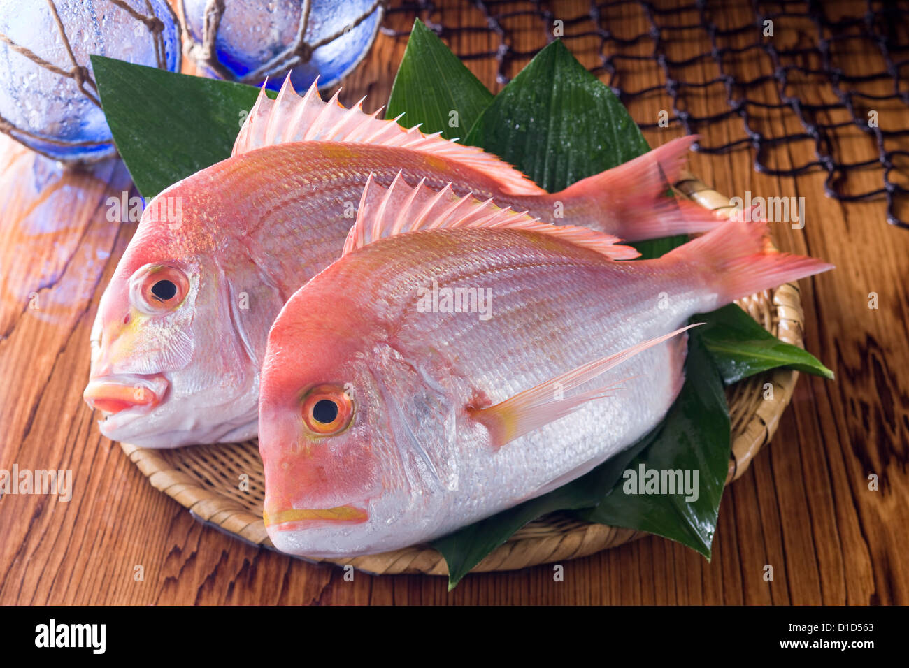 Yellowback Sea Bream Stock Photo - Alamy