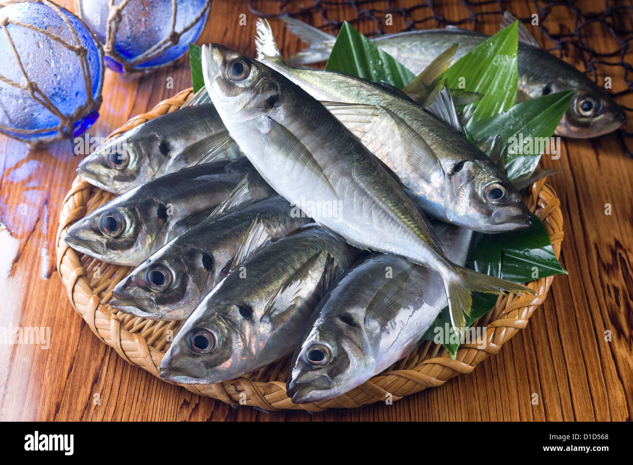 Japanese Horse Mackerel Stock Photo - Alamy