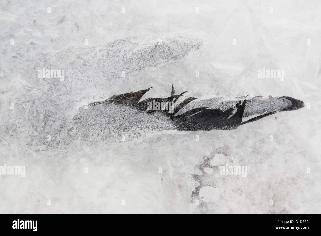 Crow creek hi-res stock photography and images - Alamy