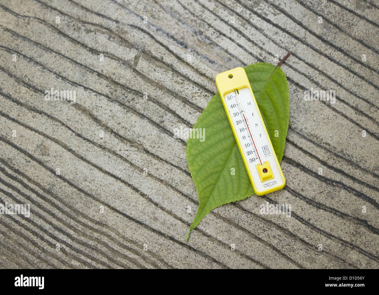 Thermometer on a leaf Stock Photo - Alamy