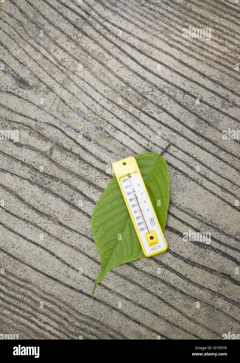 Thermometer on a leaf Stock Photo - Alamy