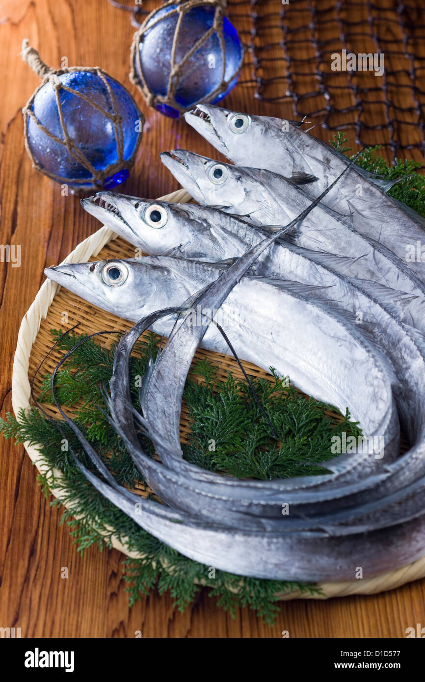 Hairtail fish hi-res stock photography and images - Alamy