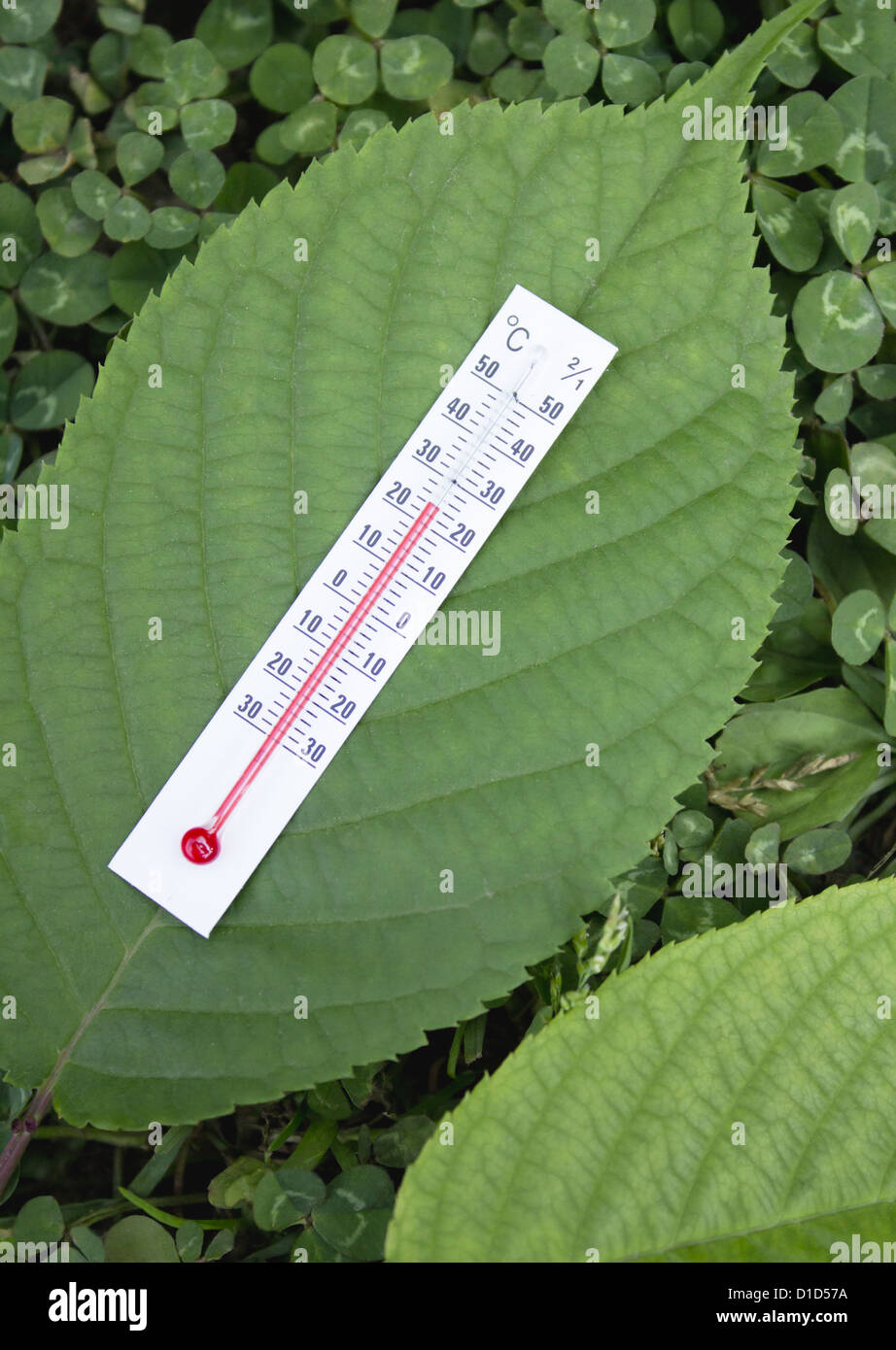 Thermometer on a leaf Stock Photo - Alamy