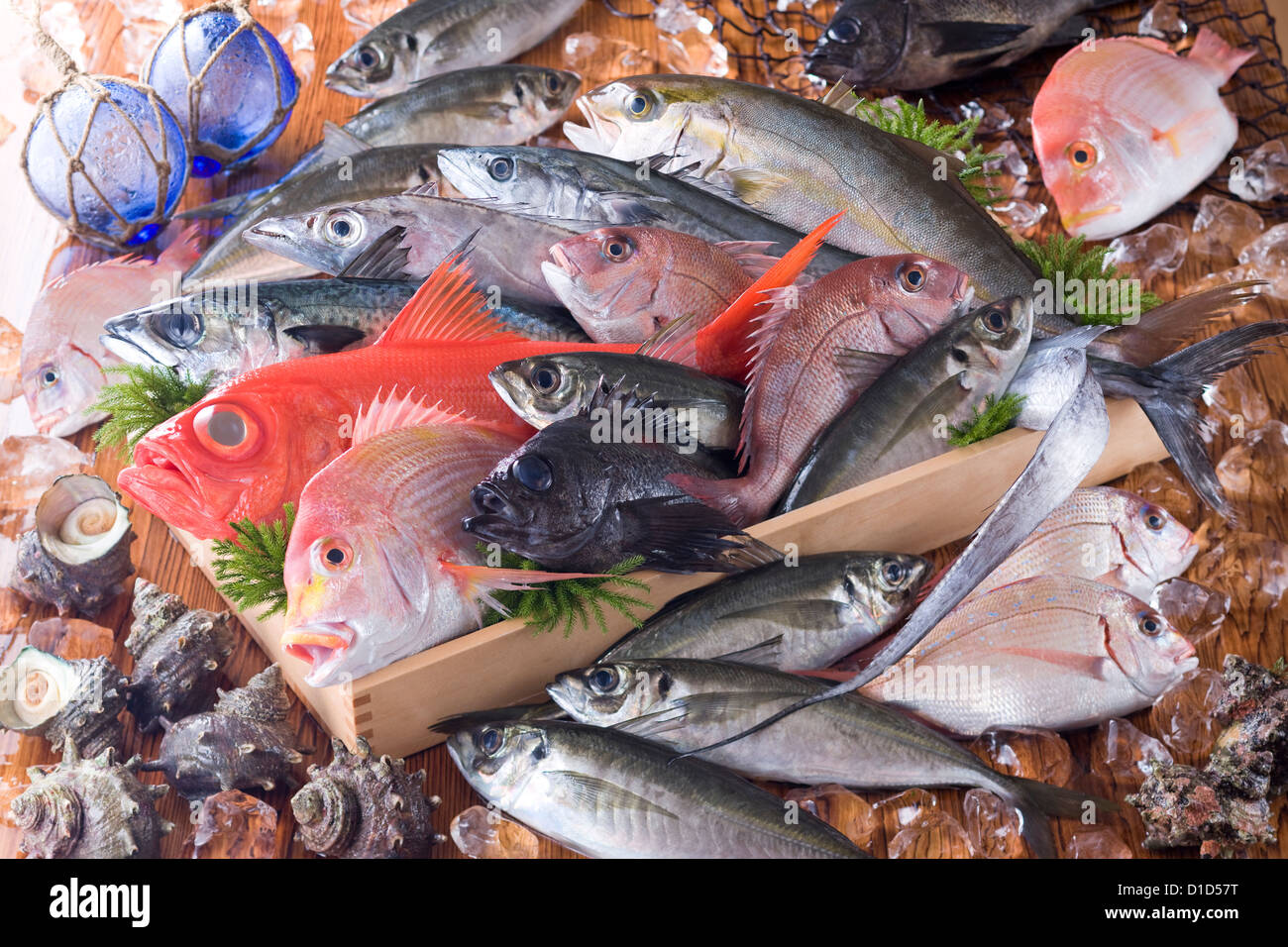 Assorted Fresh Fishes and Shellfishes Stock Photo - Alamy