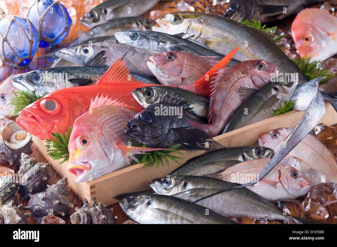 Assorted Fresh Fishes and Shellfishes Stock Photo - Alamy