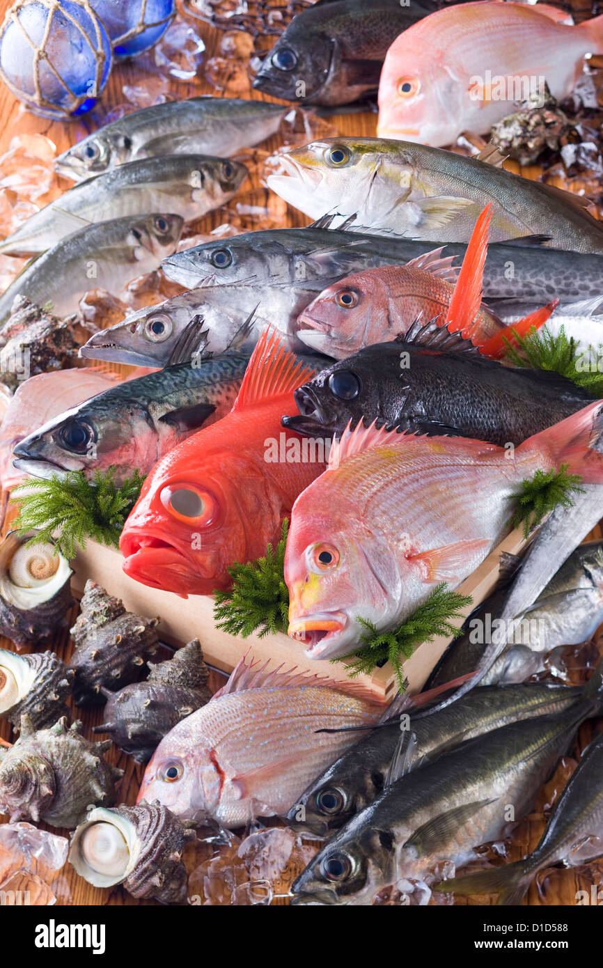 Assorted Fresh Fishes and Shellfishes Stock Photo - Alamy