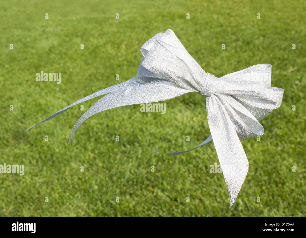 Lawn and a ribbon Stock Photo - Alamy