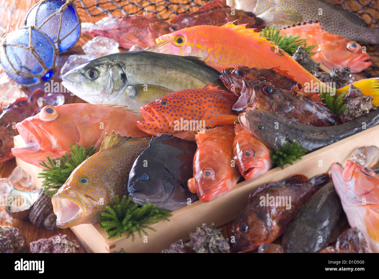 Assorted Fresh Fishes and Shellfishes Stock Photo - Alamy
