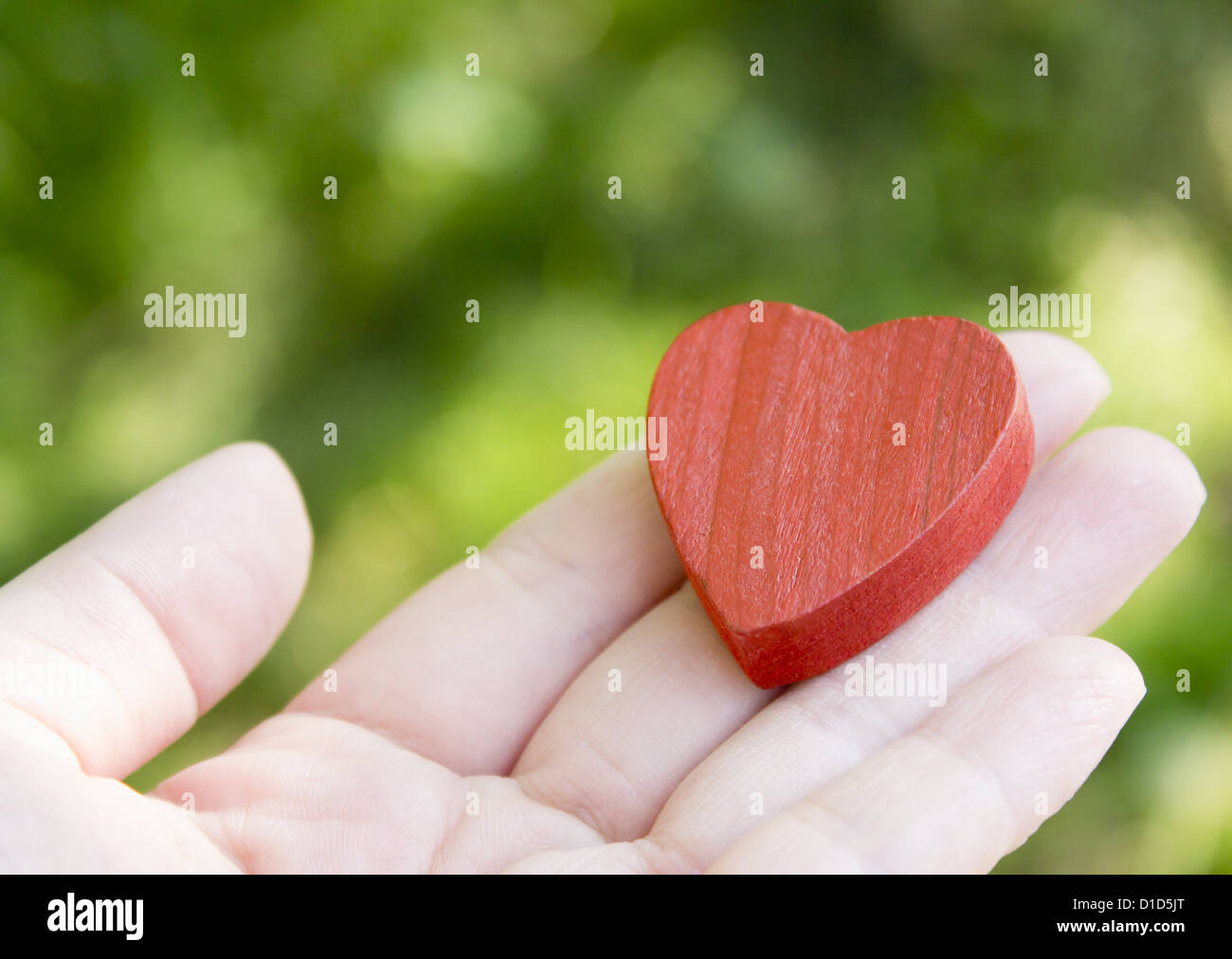 Hand holding a heart Stock Photo - Alamy