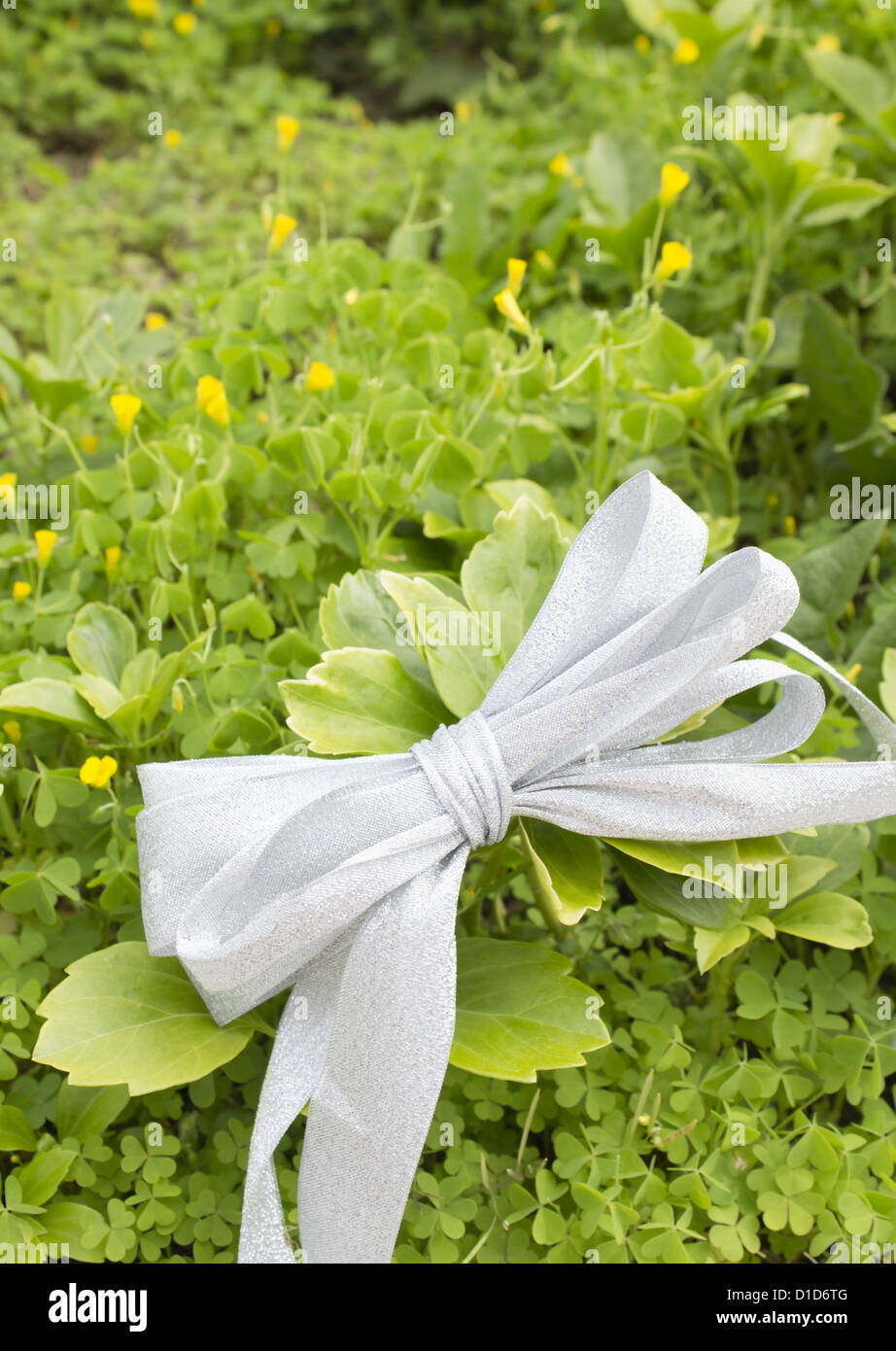 Plants and a ribbon Stock Photo - Alamy