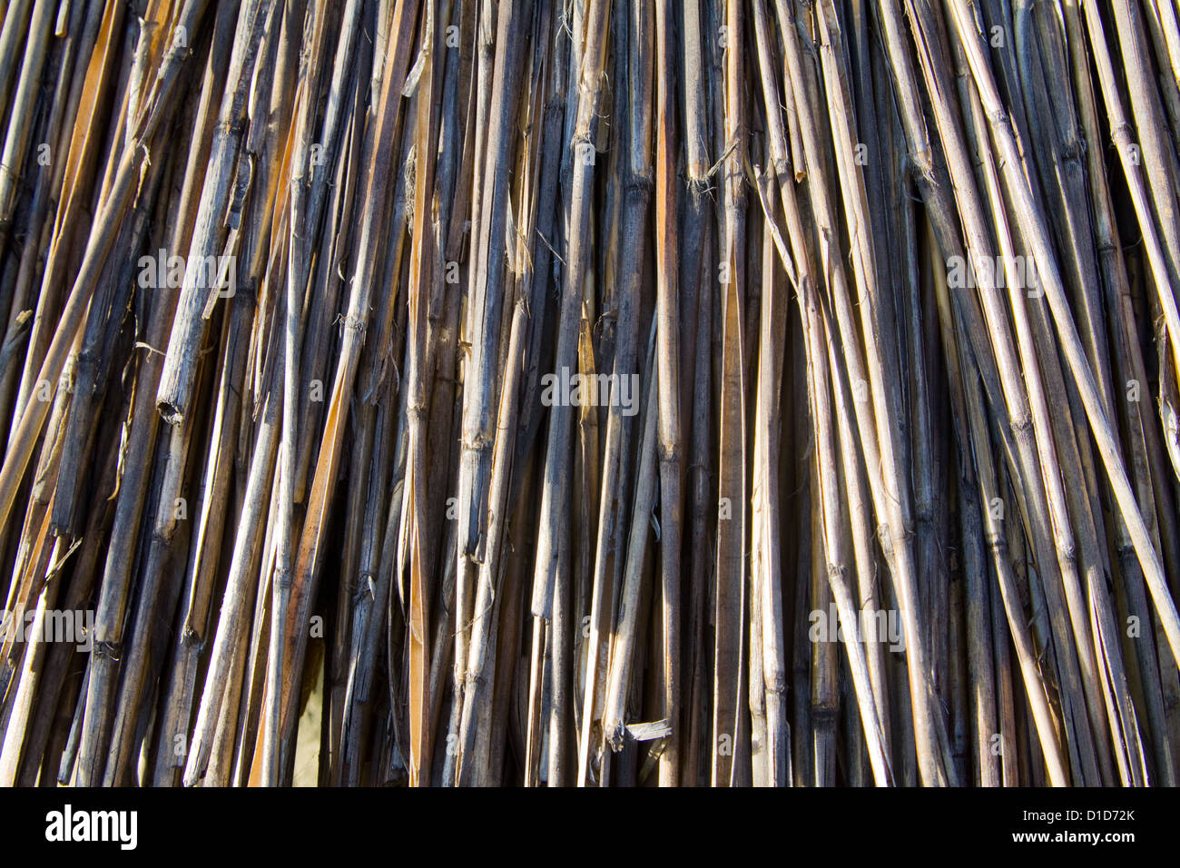 Thatch texture hi-res stock photography and images - Alamy