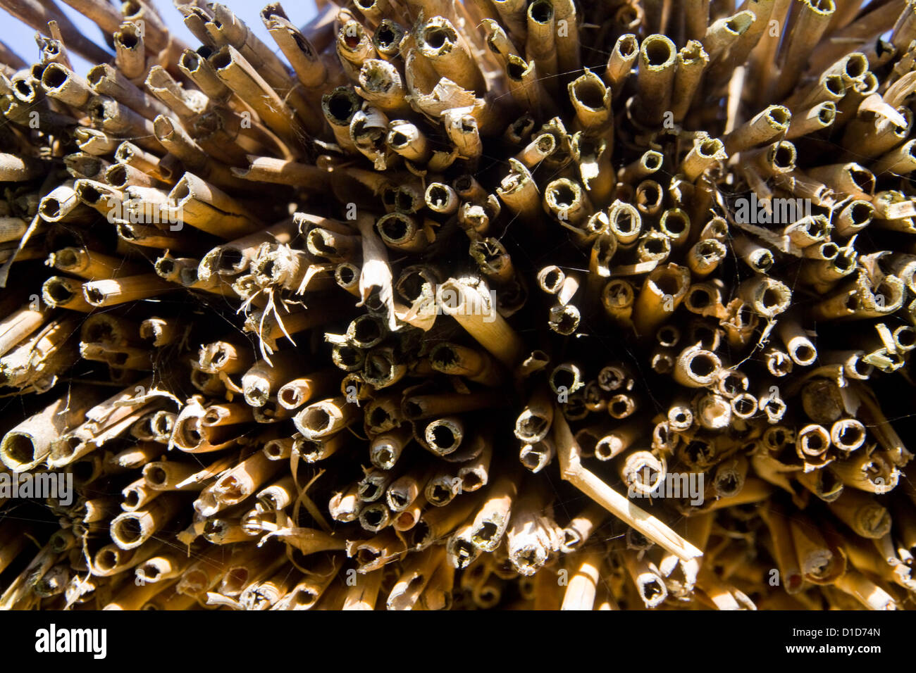 Thatch texture hi-res stock photography and images - Alamy