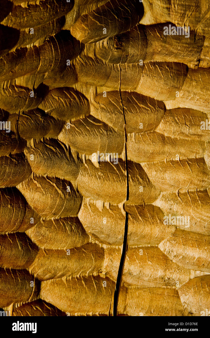 Concave body hi-res stock photography and images - Alamy