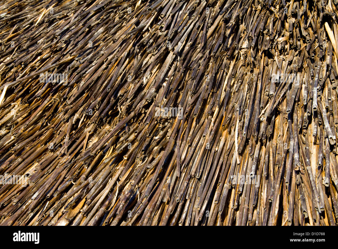 Thatch texture hi-res stock photography and images - Alamy