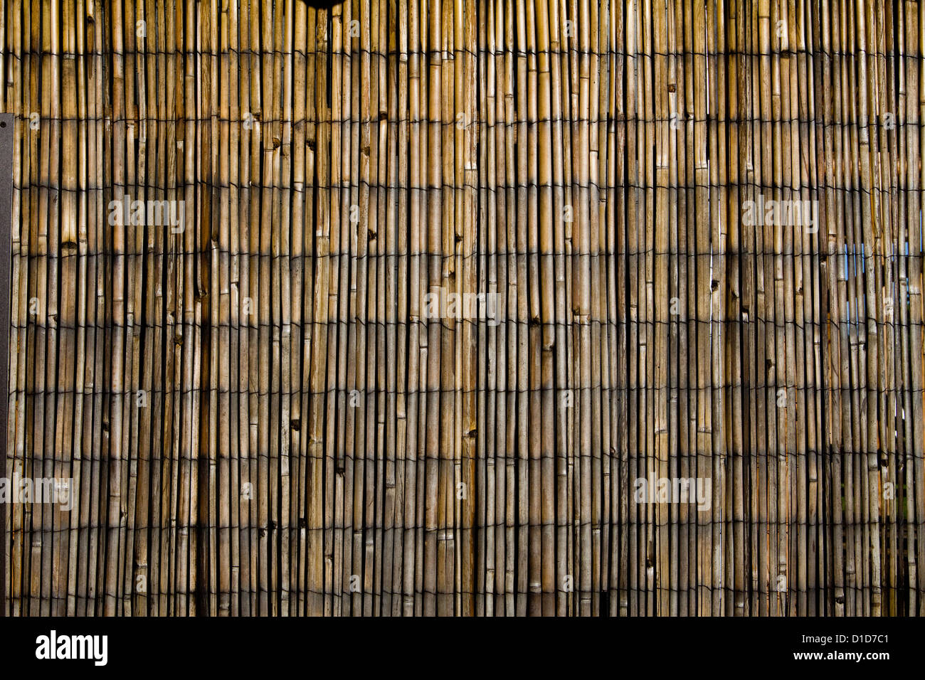 Light blab hi-res stock photography and images - Alamy