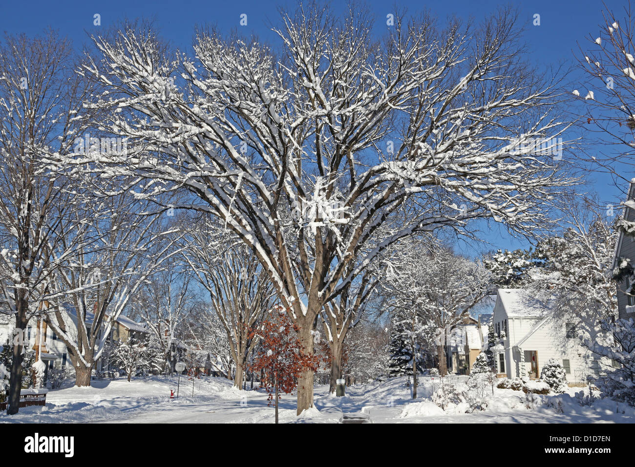 A residential neighborhood in Minneapolis in winter Stock Photo - Alamy
