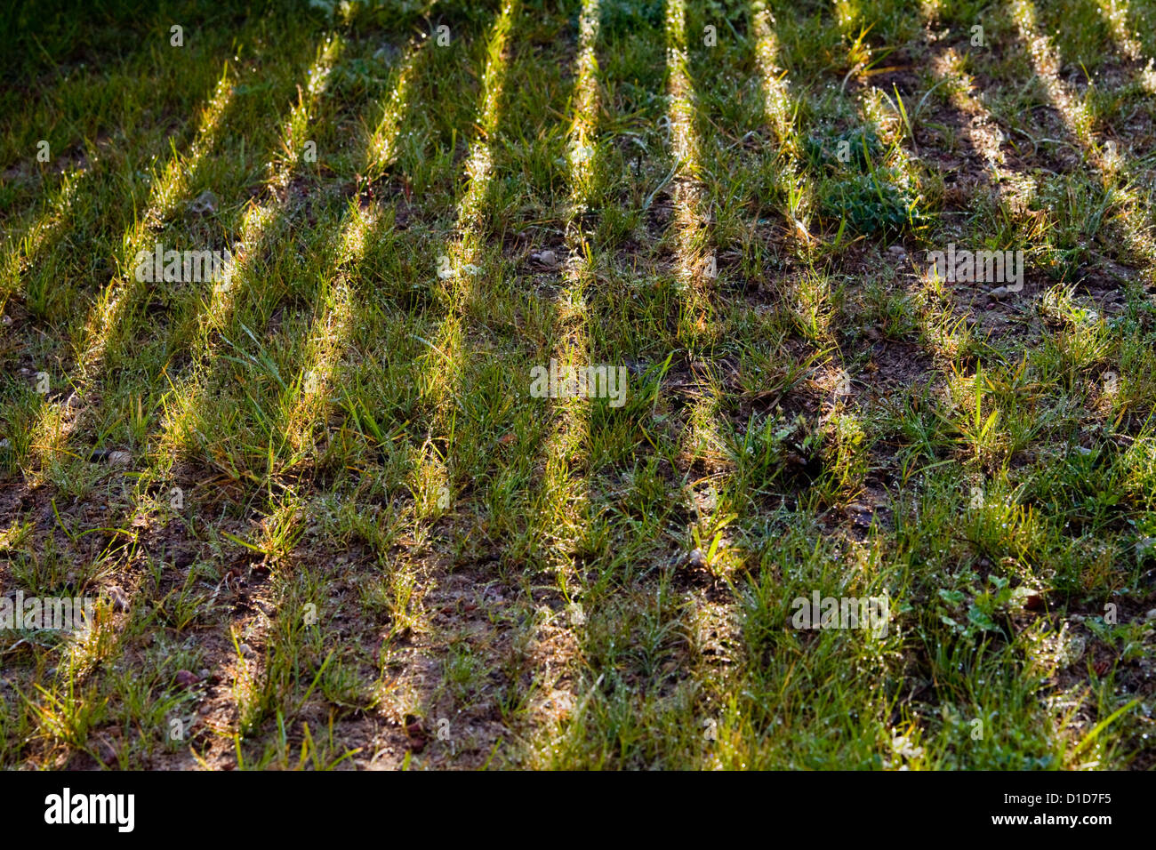 Exemplar design hi-res stock photography and images - Alamy