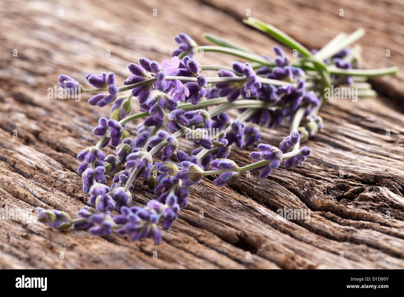 Homeopathy ingredient hi-res stock photography and images - Alamy