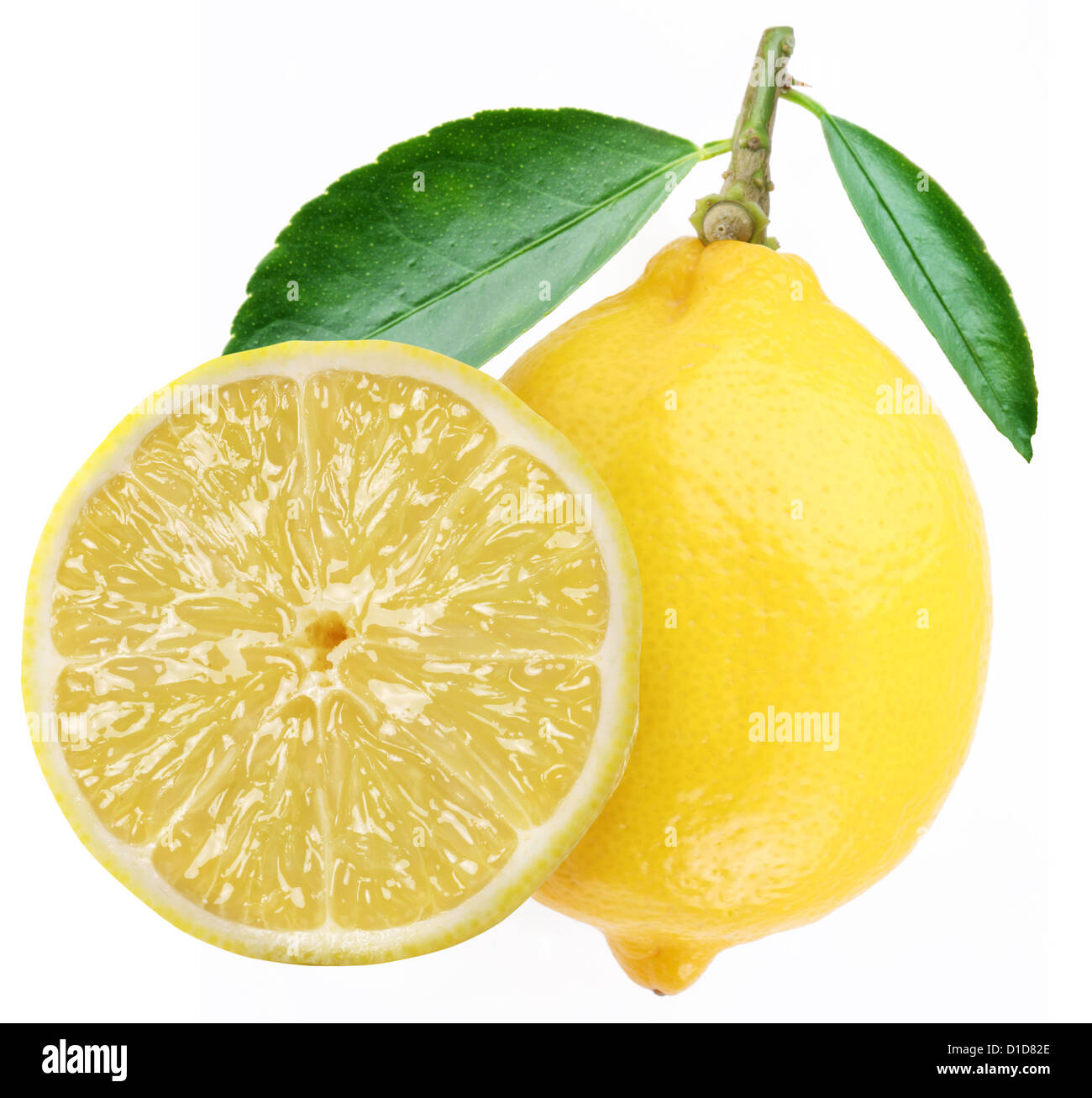 Half fresh lemon leaves Cut Out Stock Images & Pictures - Alamy