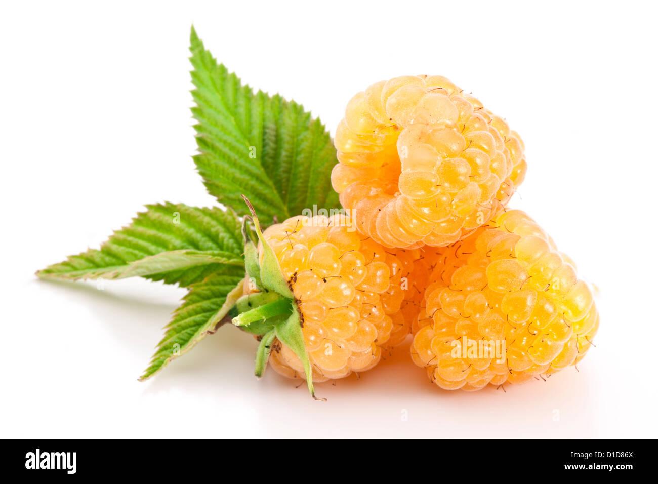 Yellow raspberries isolated on a white background Stock Photo - Alamy