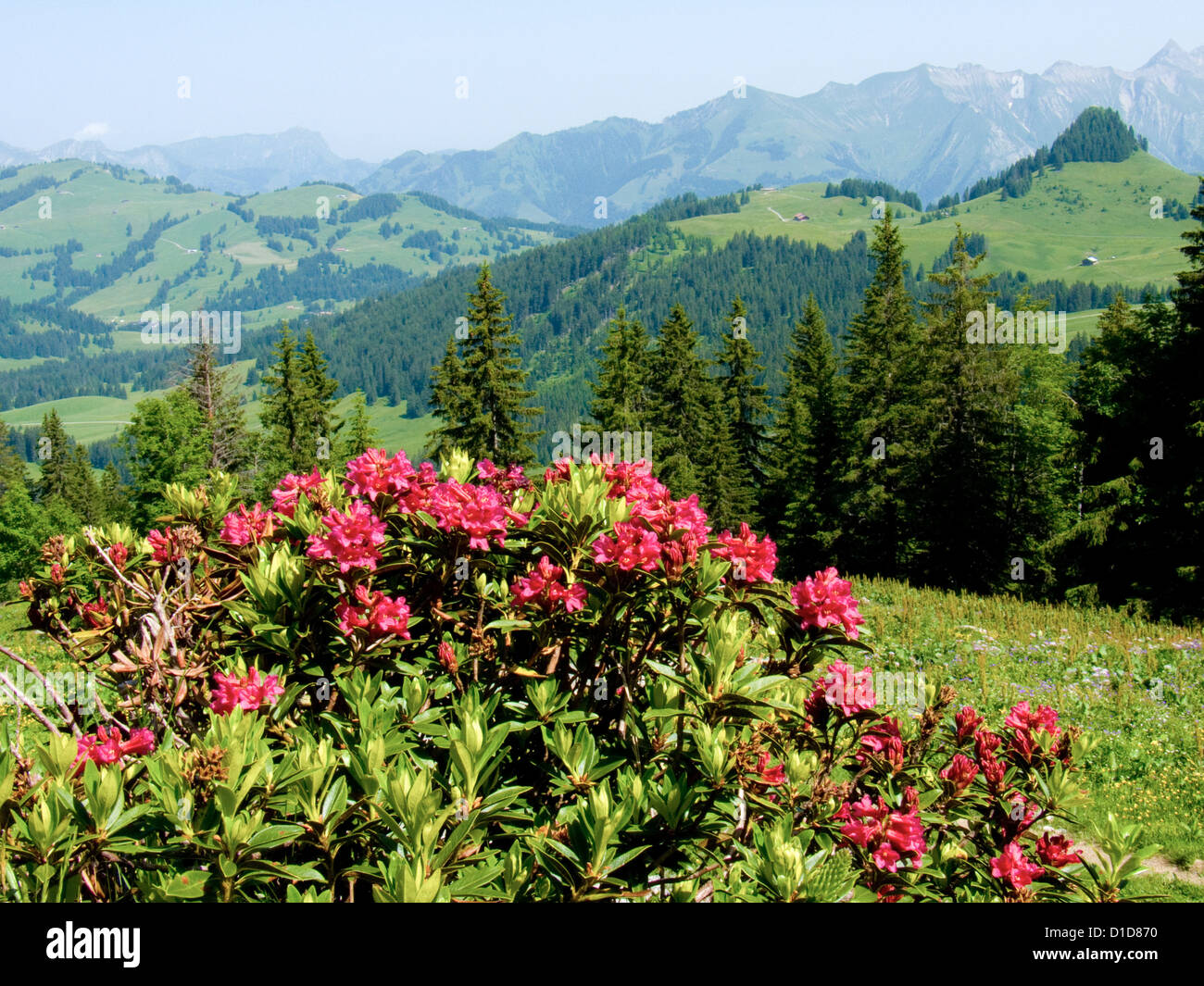 col des mosses,canton de vaud,swiss Stock Photo - Alamy