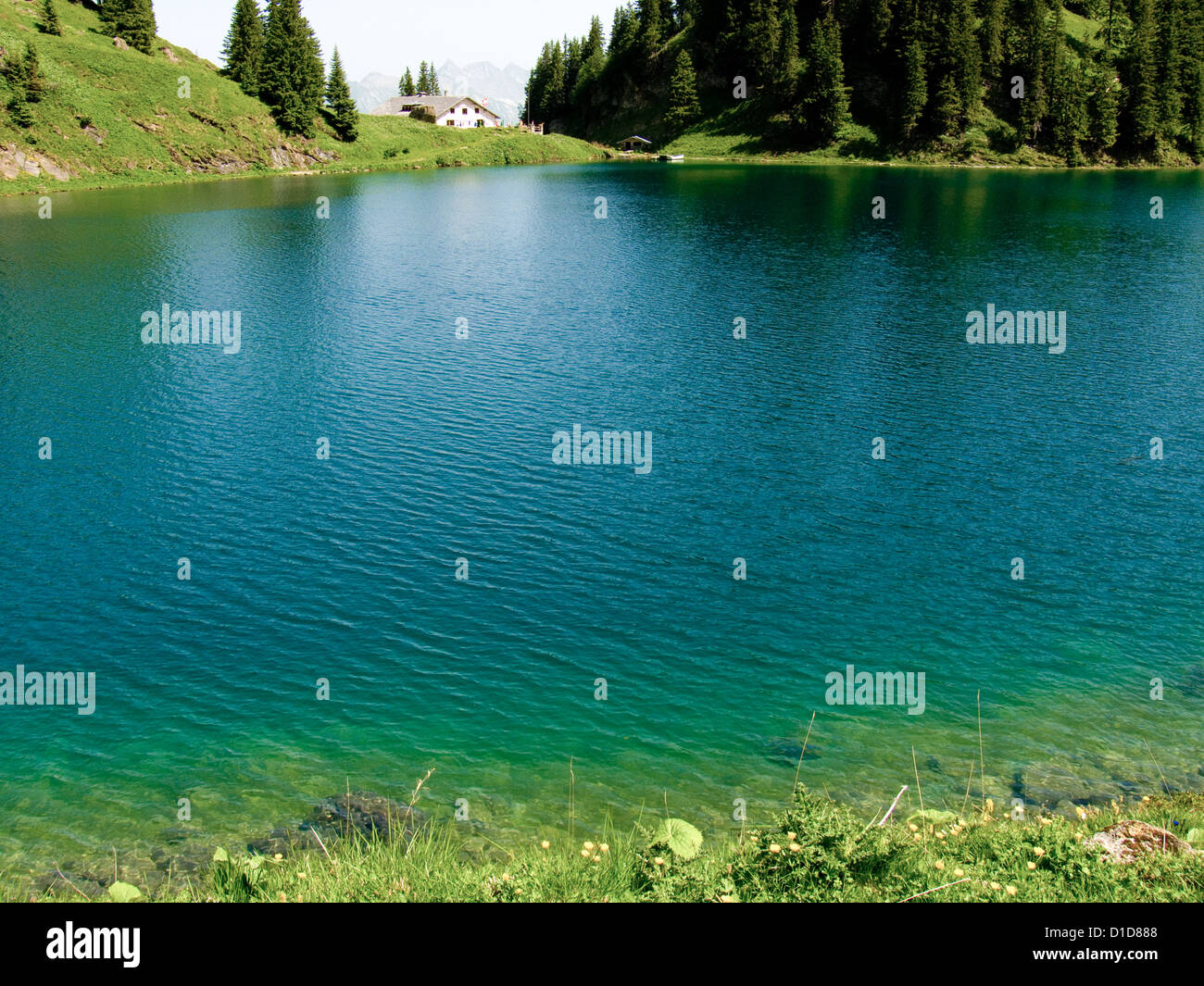 lac lioson,canton de vaud, swiss Stock Photo - Alamy