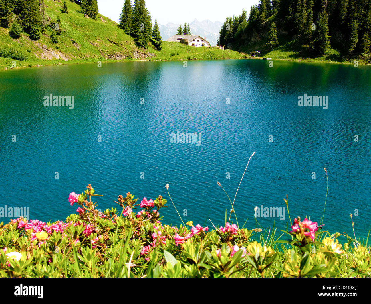 lac lioson,canton de vaud, swiss Stock Photo - Alamy