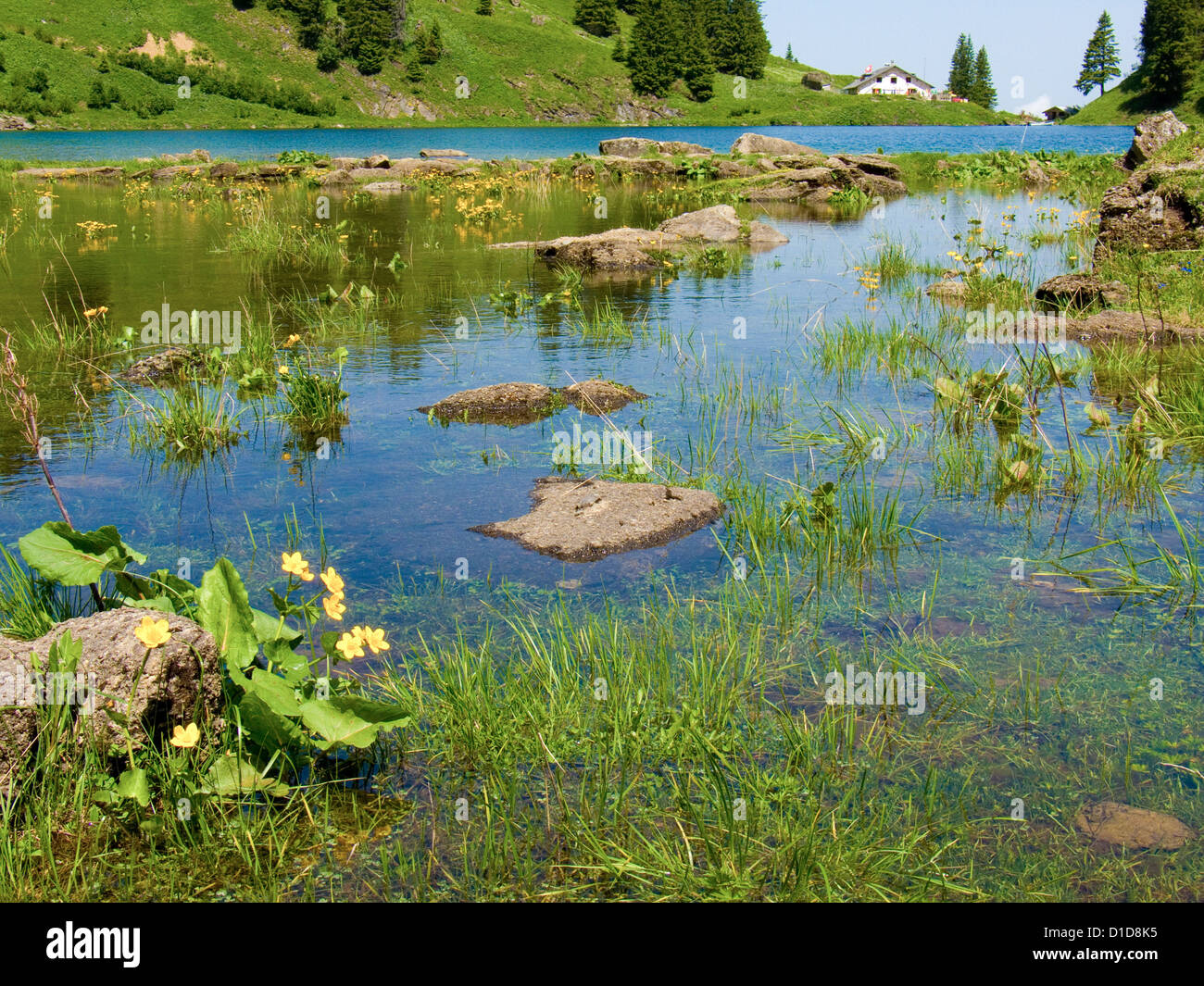 Lake lioson hi-res stock photography and images - Alamy