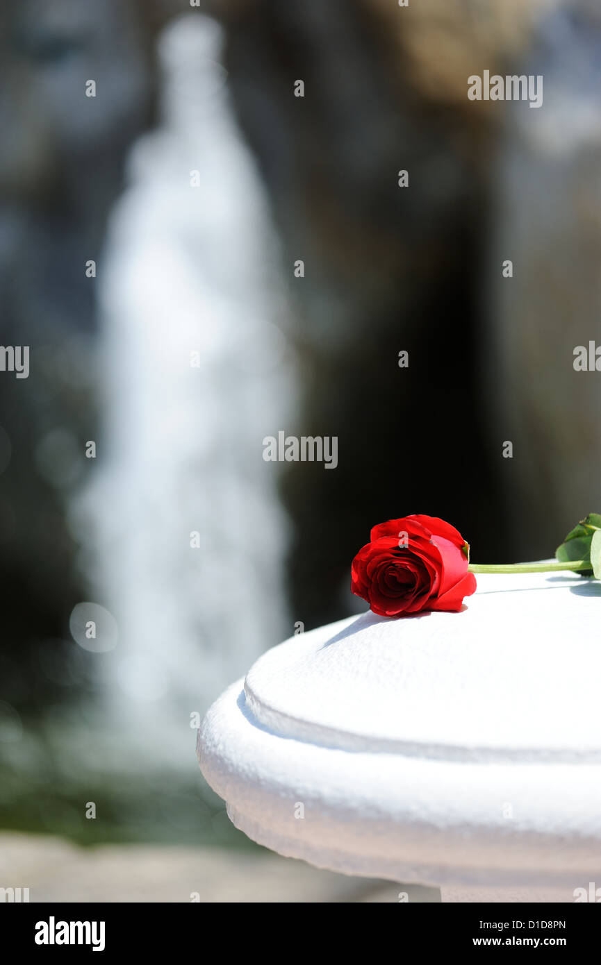 Red Rose in front of a waterfall Stock Photo - Alamy